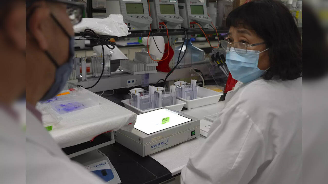 Scientists use bacteria to create rocket-launching biofuels ...