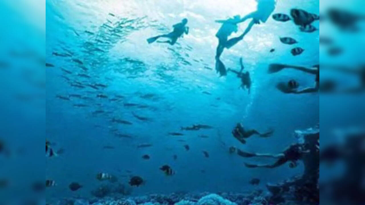 Optical illusion: This personality test takes a deep dive into you in 6 ...