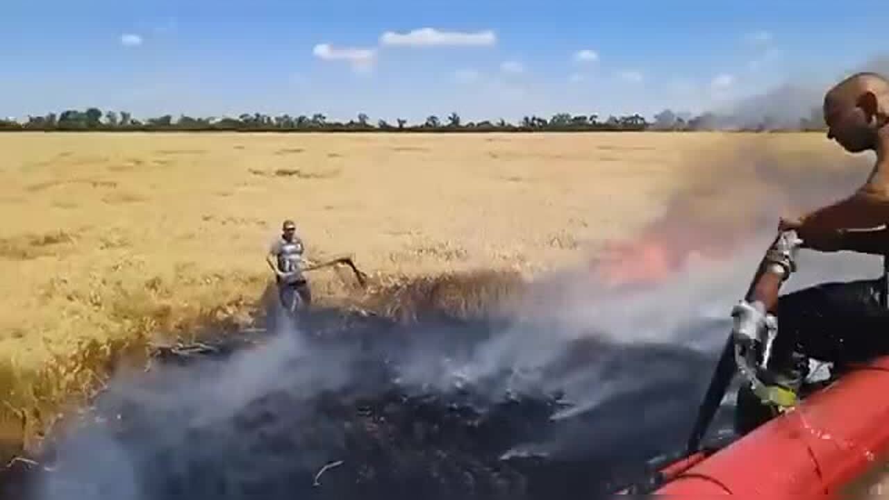 Viral video: Ukrainian farmers toil hard to save harvest from fire ...
