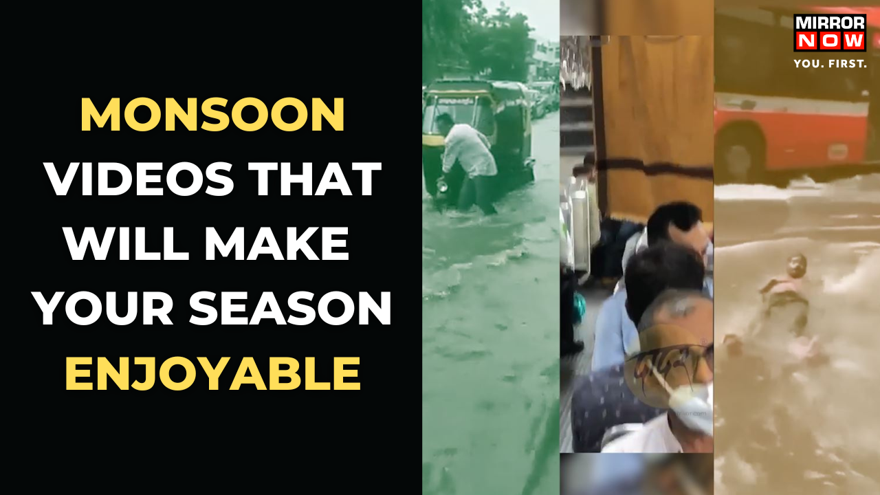 Monsoon Making You Moody? These Viral Videos Will Make You Smile ...