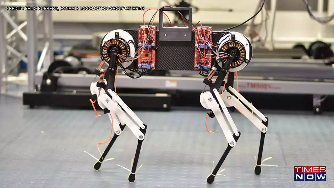 Scientists build a robo dog that can learn to walk on its own