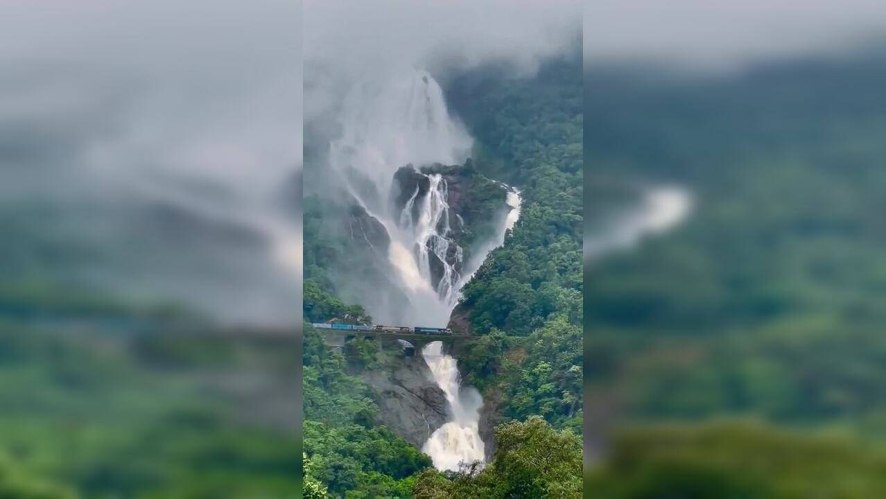Viral video: Mesmerising view of train passing through Goa's Dudhsagar ...
