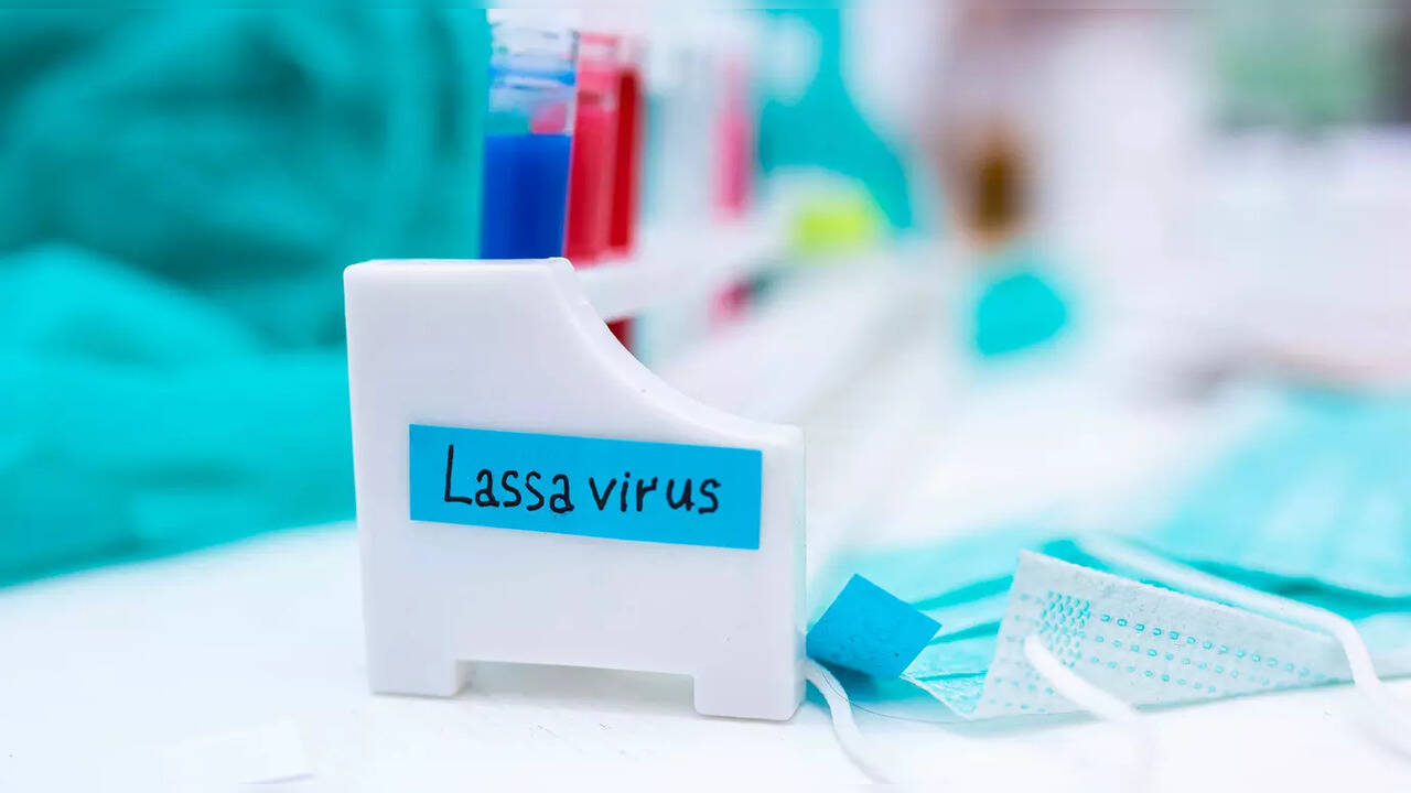 Lassa: Lassa virus: Scientists discover clue to contain the infection ...