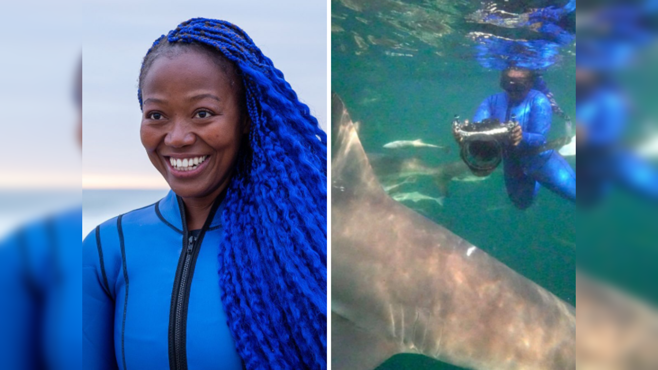 This 33-year-old free diver 'wrestles with sharks' for a living; she's ...