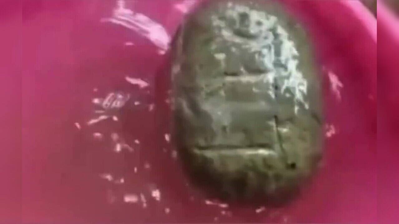 Viral video: 'Floating' stone with 'Ram' inscribed on it found in Uttar ...