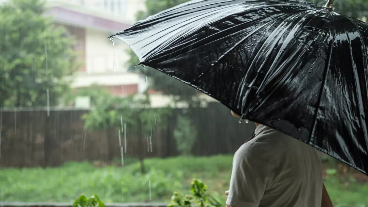 Weather Update: Intense rainfall activity likely to continue over South ...
