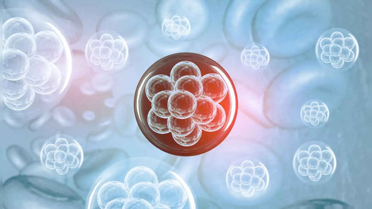 In a first, scientists create synthetic embryos in lab without sperm or ...