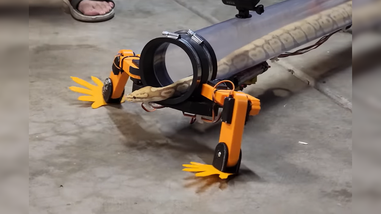 Viral video: Engineer makes snake 'walk' by inventing four robotic legs ...