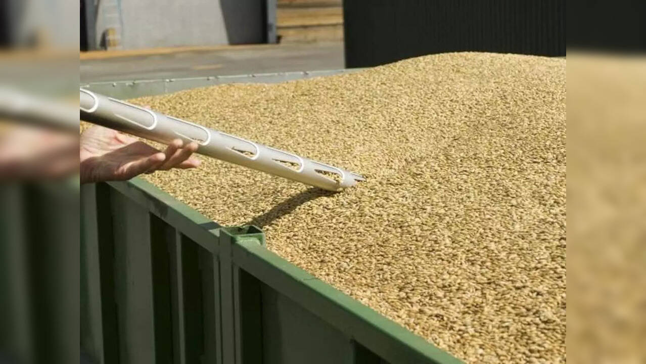 Centre takes steps to modernise food grain storage infrastructure ...