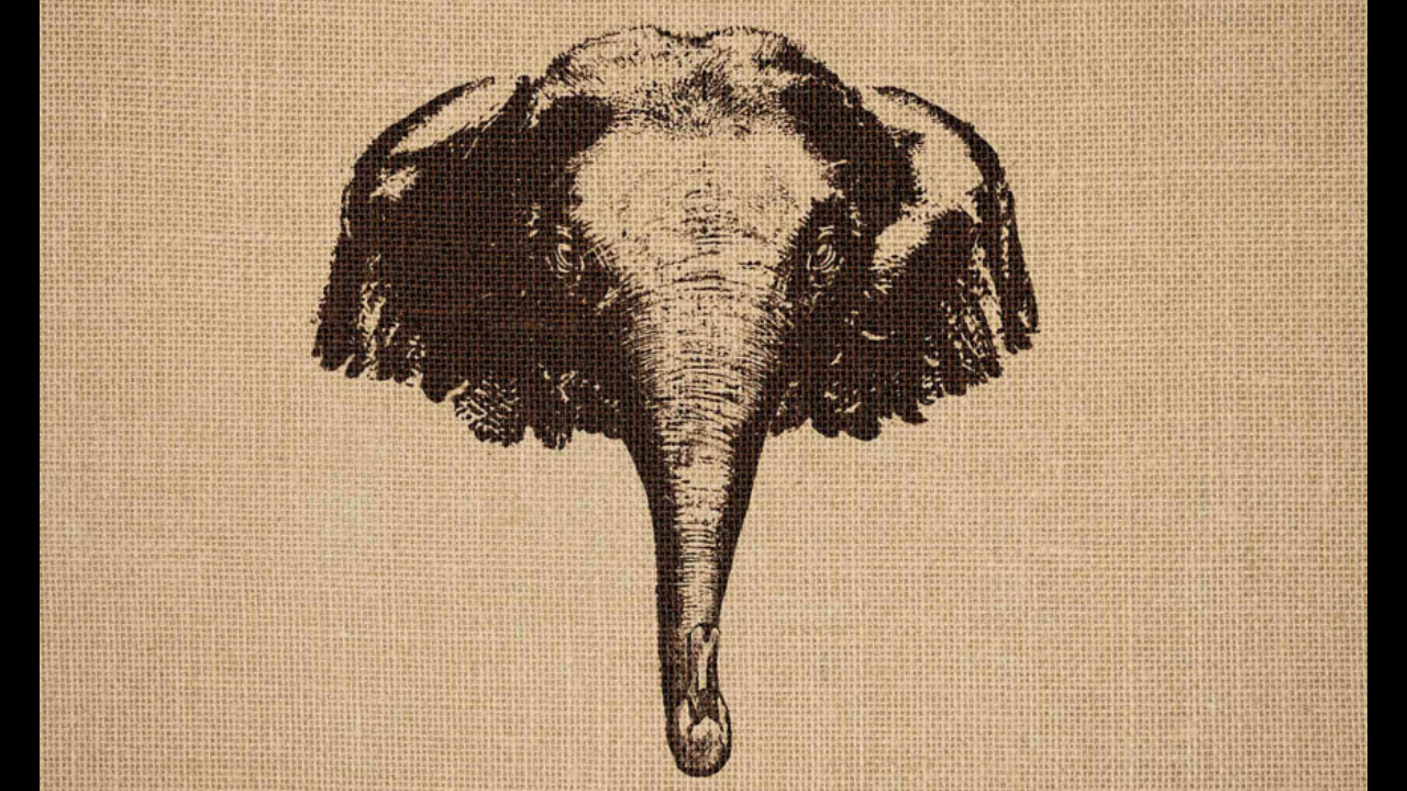 There are two animals in this optical illusion image - can you spot ...