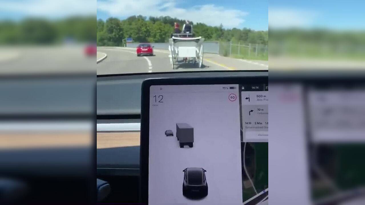 Viral video: Tesla struggling to identify horse-drawn carriage mistakes ...