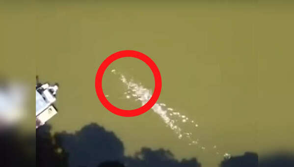 Florida man survives after 12-foot alligator bites his head | Viral ...