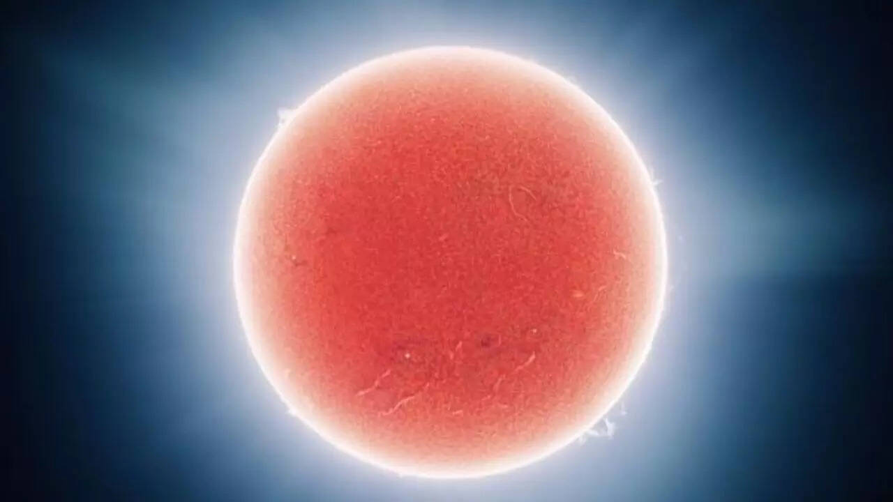 Redditor's 145-megapixel image of the sun receives the praises of ...