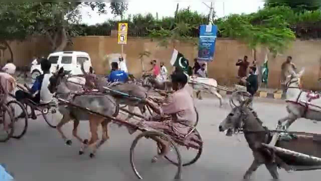 Viral video: Karachi's donkey-cart race flagged off by Commissioner ...