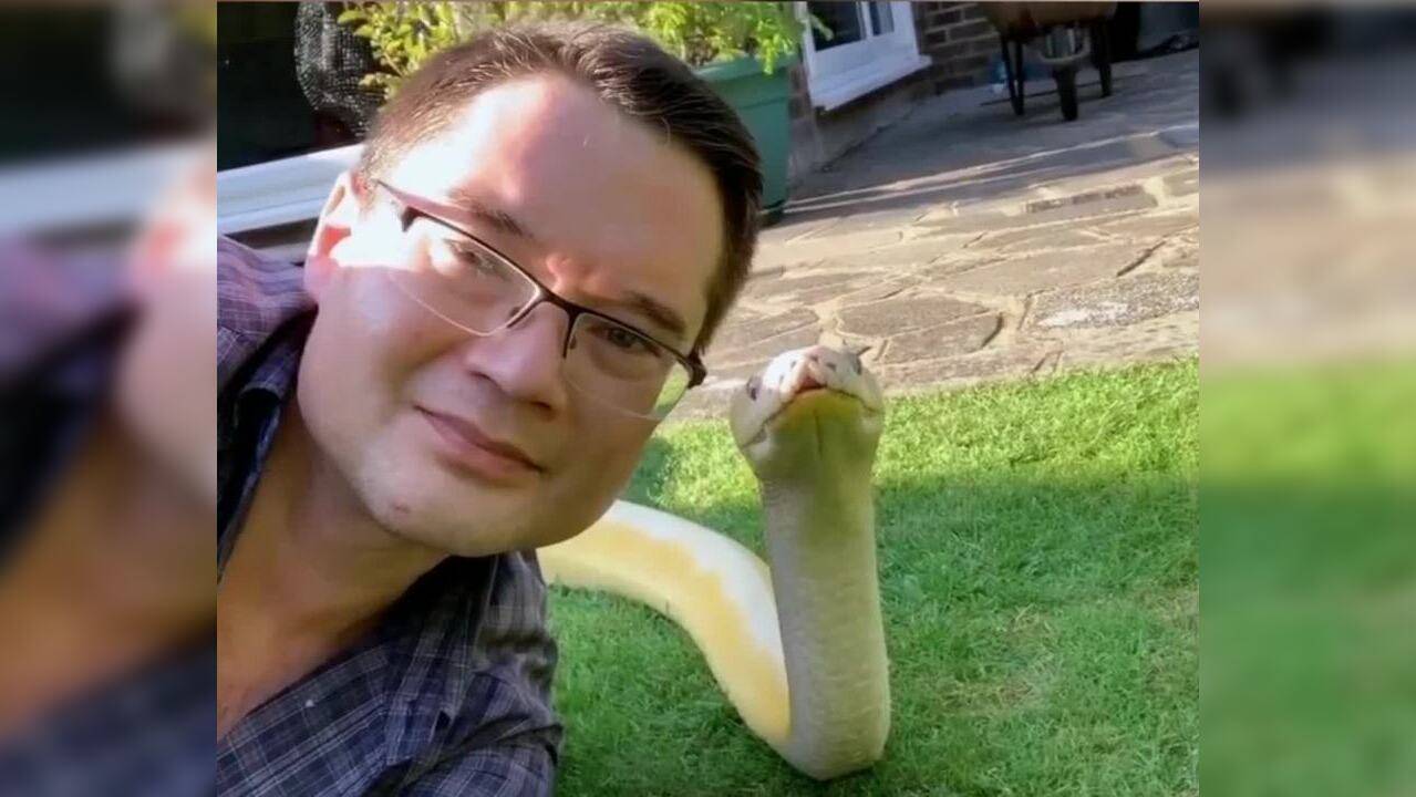 Viral video: Man casually takes selfie with python as if it's no big ...