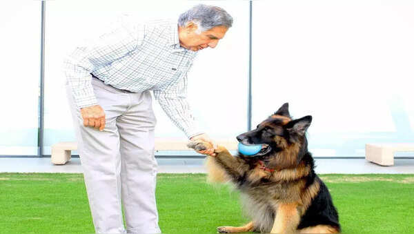 Throwback: Five times Ratan Tata left us in awe for his true love for ...