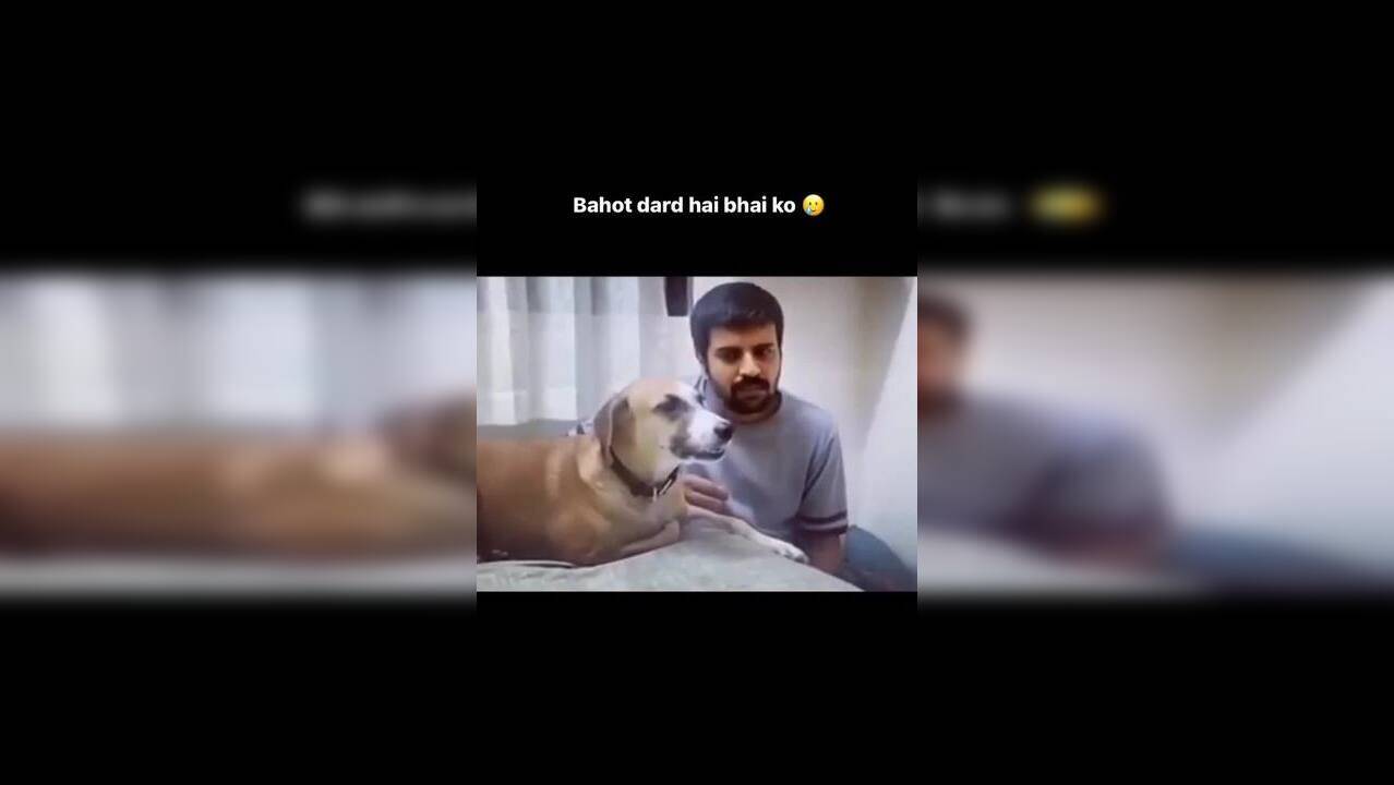 Viral video: This dog 'singing' with man will leave you in splits ...