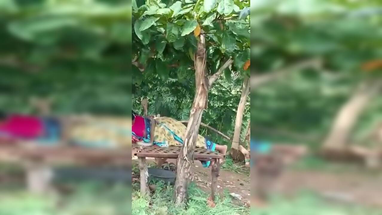 Viral video | Snake slithers up to woman resting on a cot; positions ...