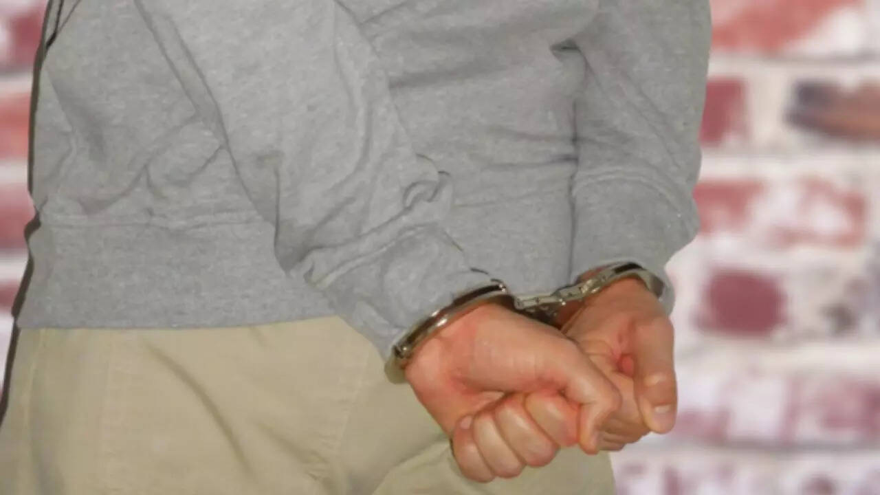 Man sentenced to 34 months in prison after farting in officer's face ...