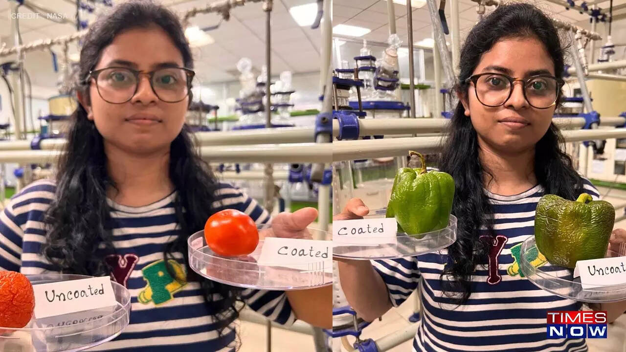 IIT Guwahati scientists develop biodegradable, edible coatings that ...