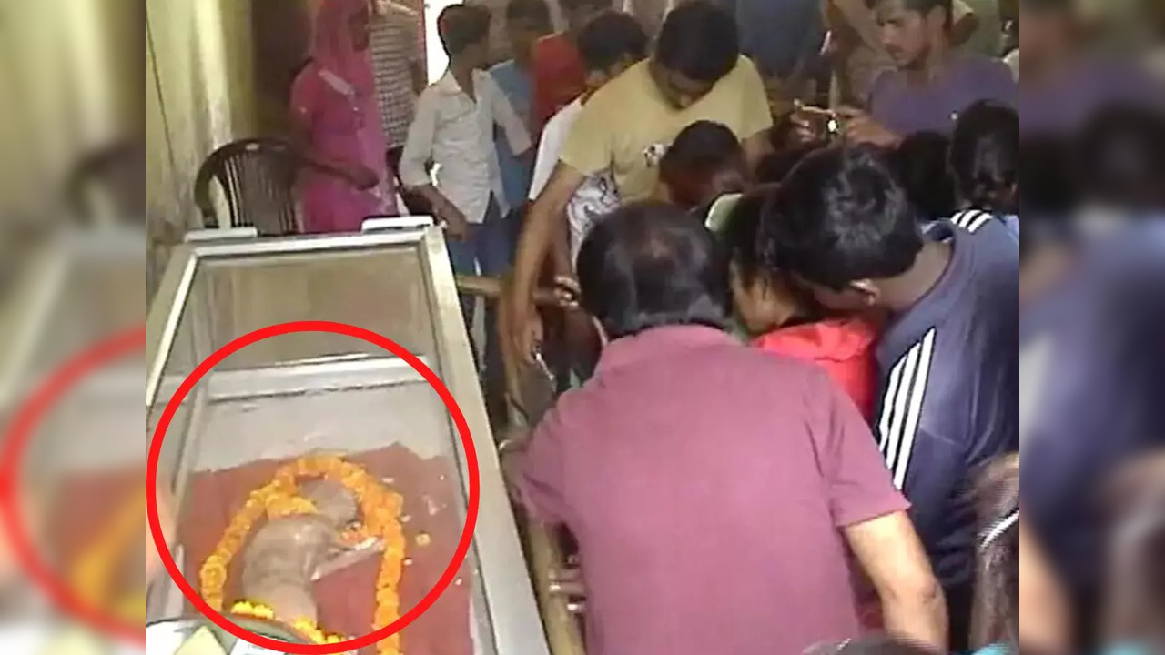 When a UP village, convinced cow born with 'human face' was 'avatar of ...