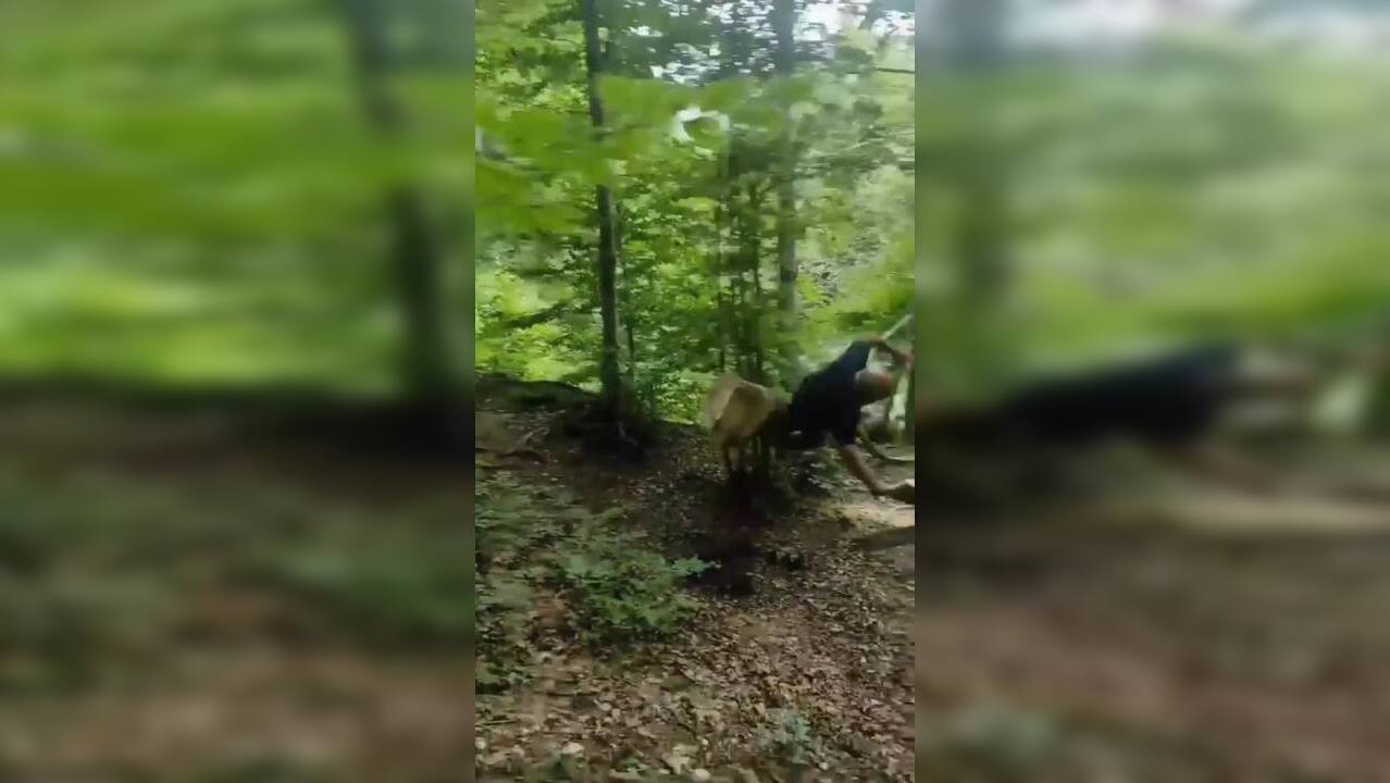 Viral: Man cuts tree, nature takes revenge in shocking video | Times Now