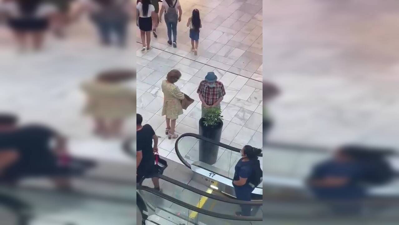 Viral video: Elderly couple filmed stealing plant from a shopping mall ...
