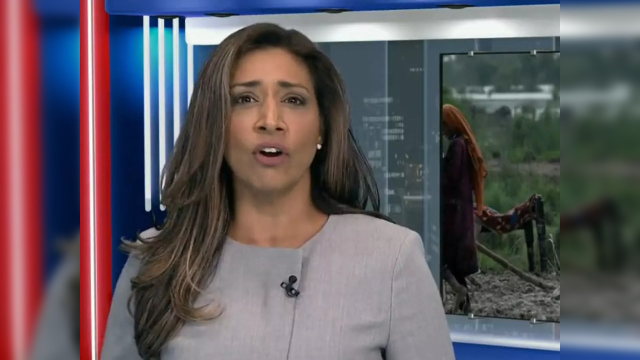 Canadian news anchor swallows fly on air, continues live TV segment ...