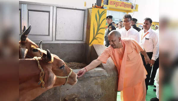 UP CM Yogi Adityanath's popularity continues to soar high on social ...
