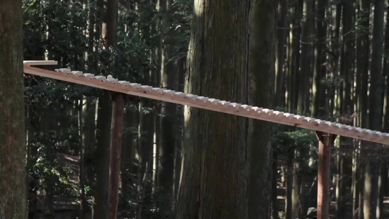 This enormous xylophone in a Japanese forest is fully made by hand ...
