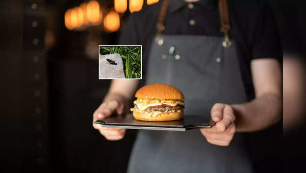 Thai pop-up restaurant offers burgers made with crickets to attract ...