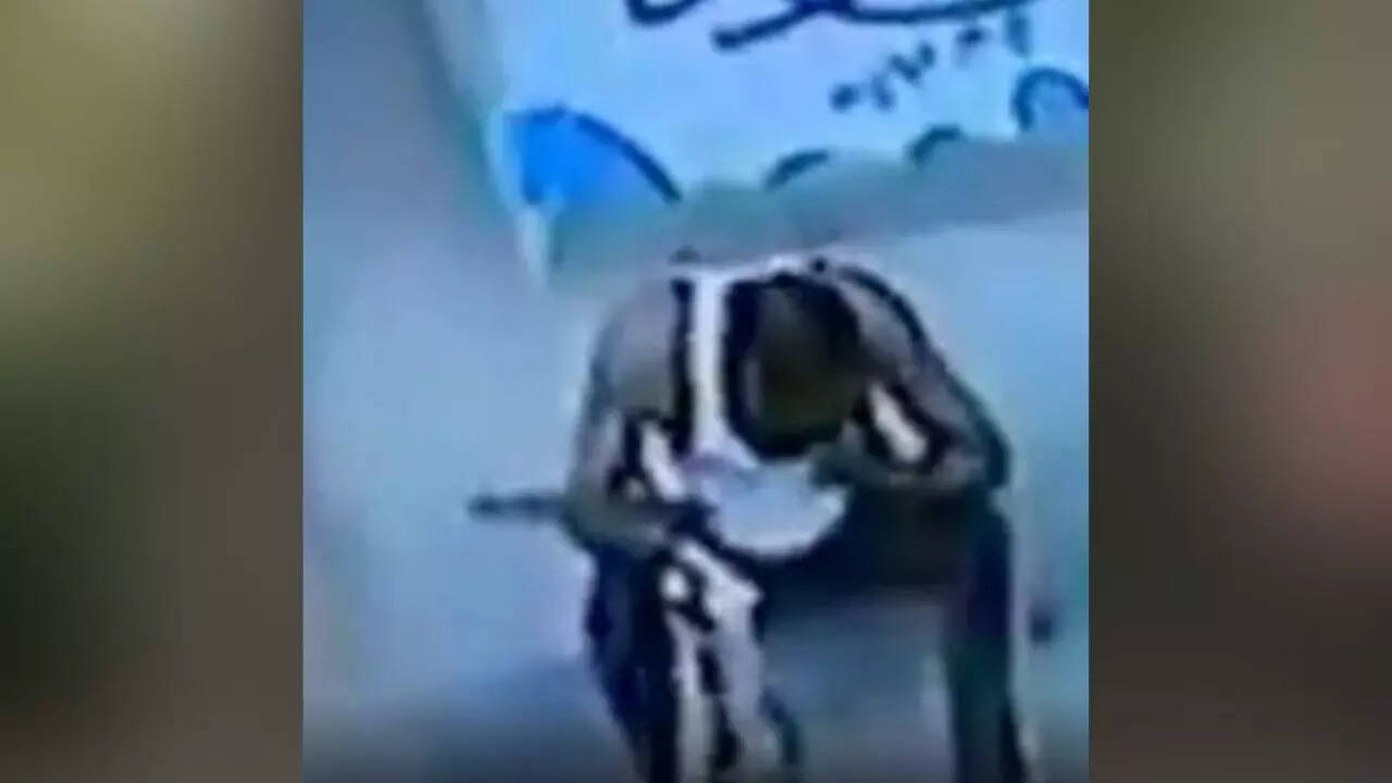 Shocking: Rajasthan's popular snake catcher dies of cobra bite - Watch ...