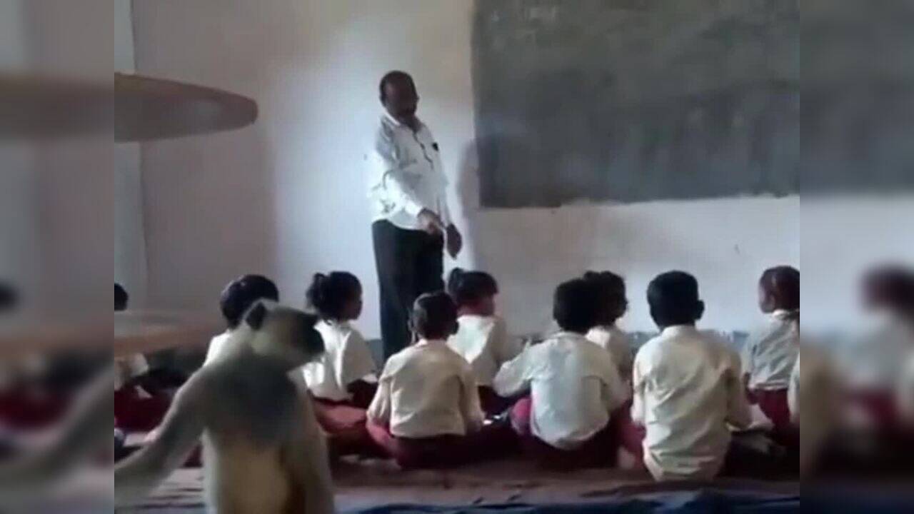 Viral video: Monkey 'attends' class with students in Jharkhand school ...
