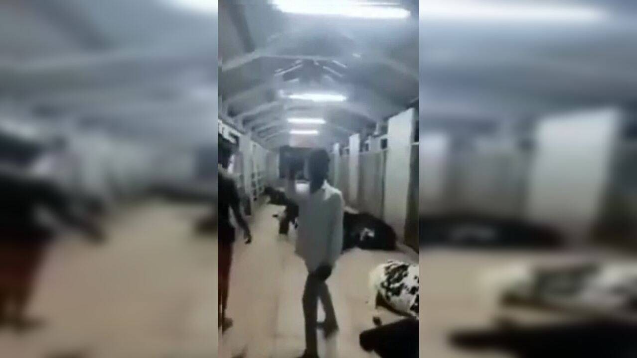 Viral video: Man gets kicked by a cow after he tries messing with it ...