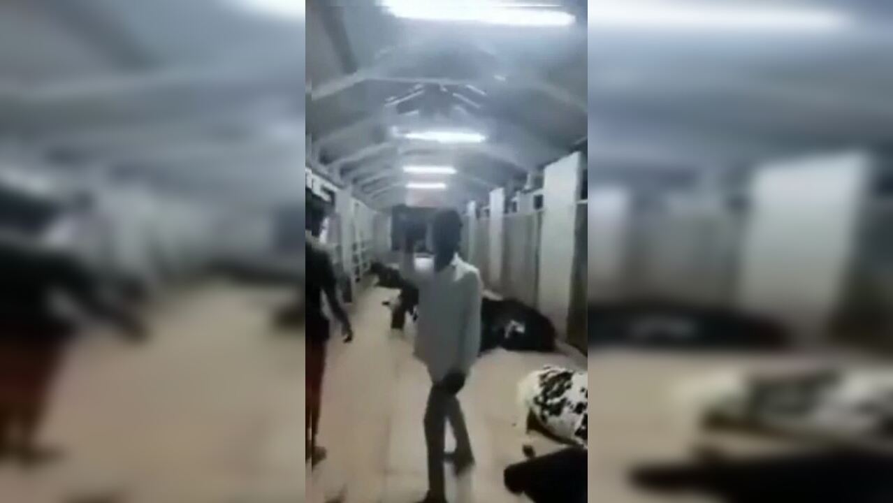 Viral video: Man gets kicked by a cow after he tries messing with it ...