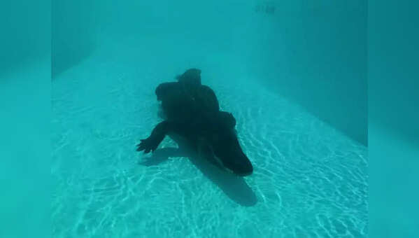 12-foot alligator takes the last swim at US water park to close out ...