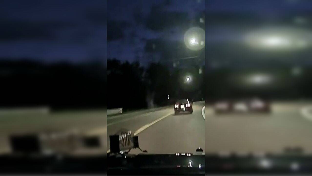 Viral video: Deer jumps over car while crossing the road, netizens left ...