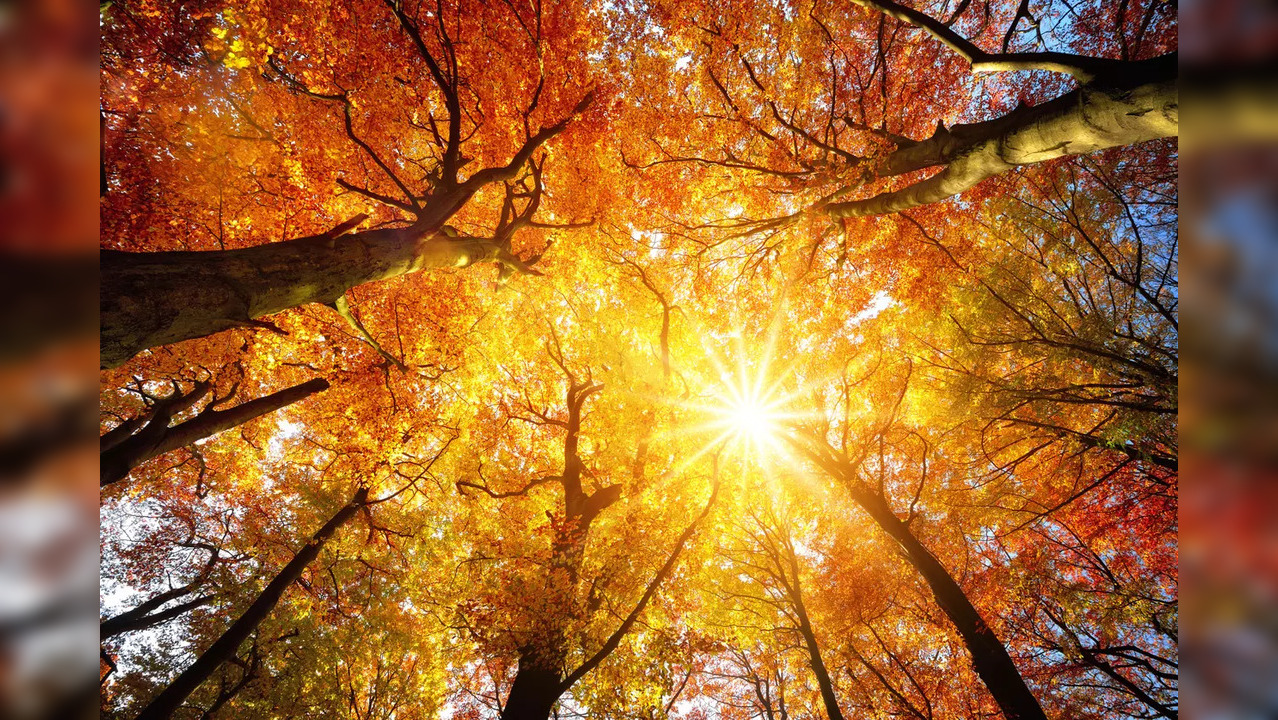 World Environment Health Day: Climate change fallout: UK stares at ...