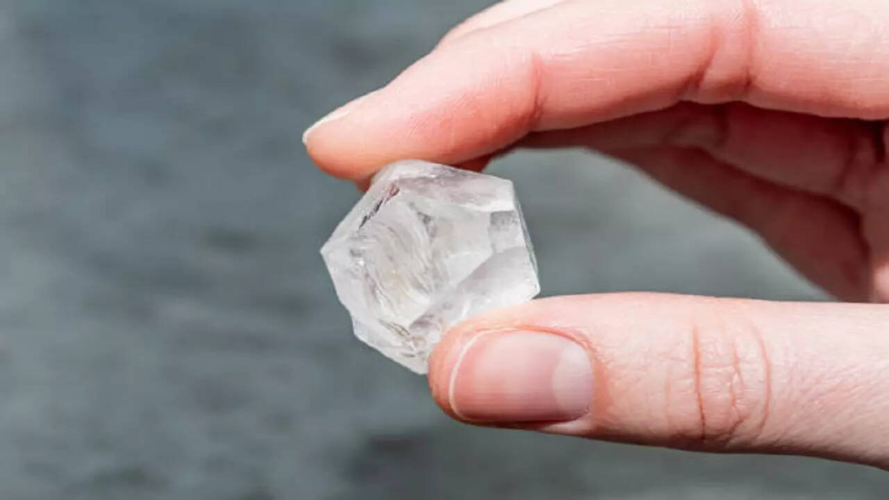 MP: Diamond rush killing Panna forests amid dam construction | Times Now