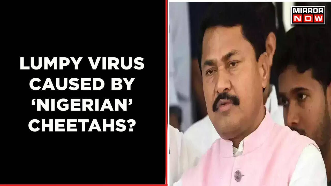 Maharashtra Congress Chief Nana Patole Makes Bizarre Statement | Said ...