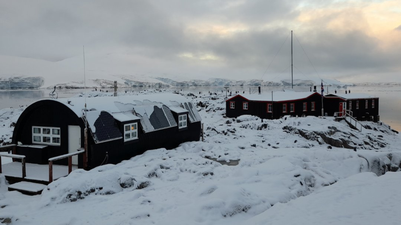 Four women to run world's most remote post office and count penguins in ...