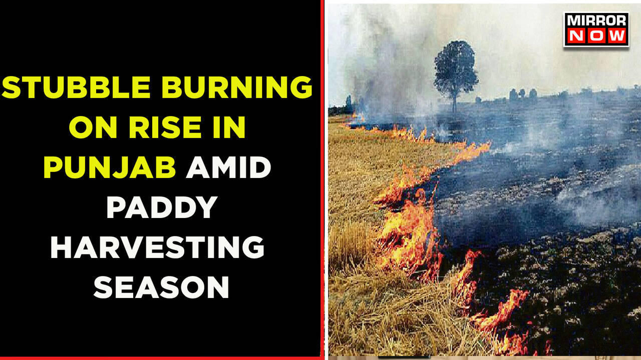 Stubble Burning Increases In Punjab Despite Strict Prohibition And ...