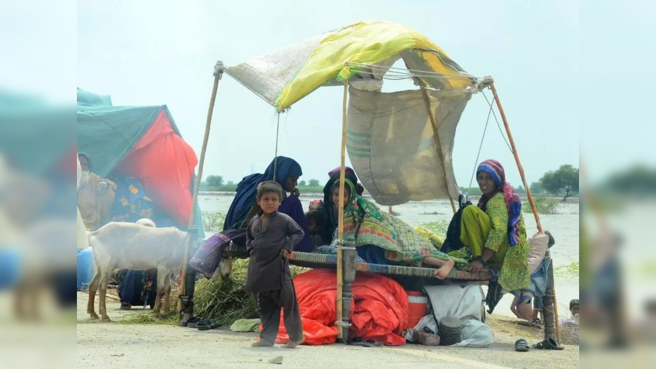 Pakistan floods: 'Islamabad to buy 6.2 million nets from India to ...