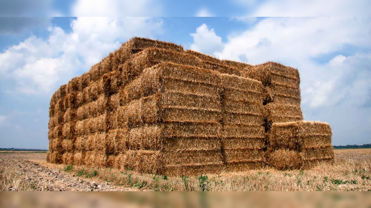 Paddy straw pellet makers to get financial assistance from Centre ...