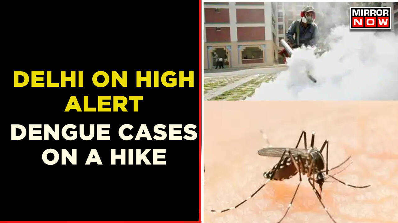 Dengue Scare In The National Capital | Hospitals On High Alert | 10% ...