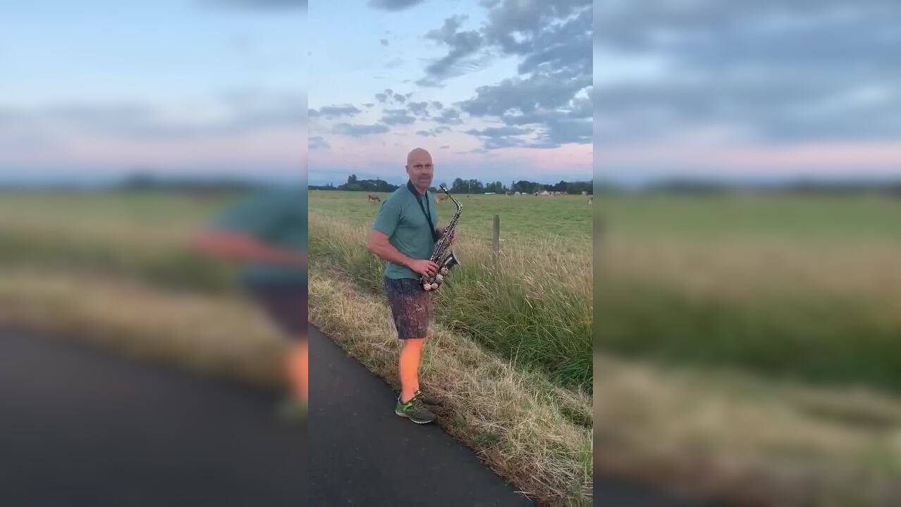 Bovine Fans: Man draws herd of cows towards him by playing the ...