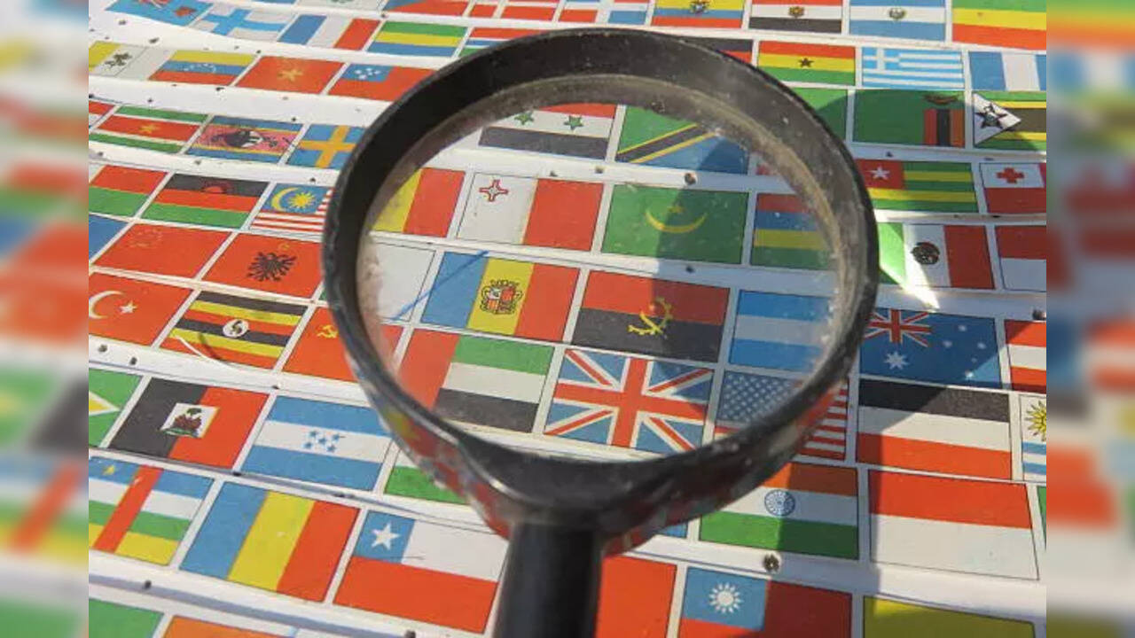 PM Modi at interpol's general assembly: What is Interpol and how does ...