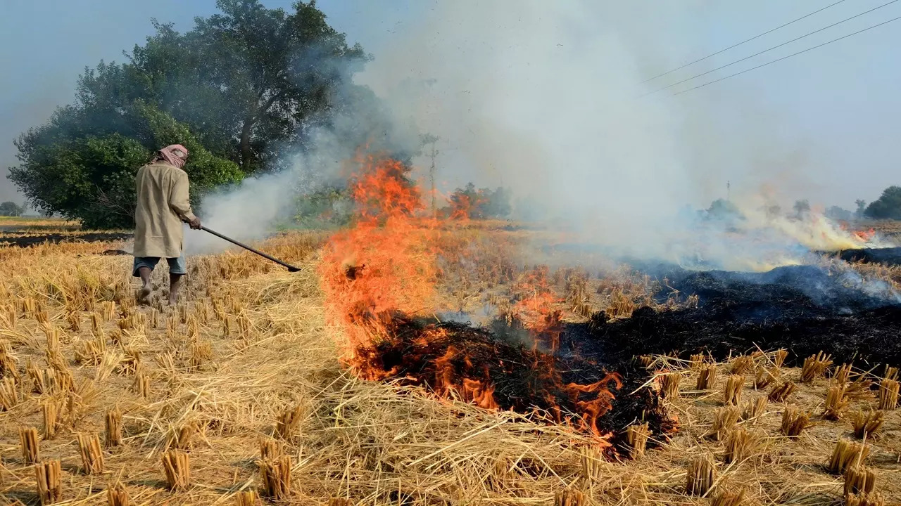 Stubble burning: Under-utilisation of CRM machines a concern | Times Now