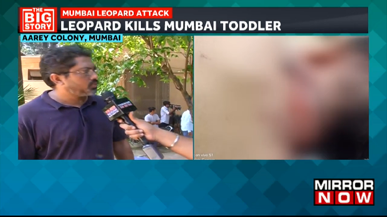 Rise in human-wildlife conflict in Aarey & SGNP; 10 animal attacks in ...