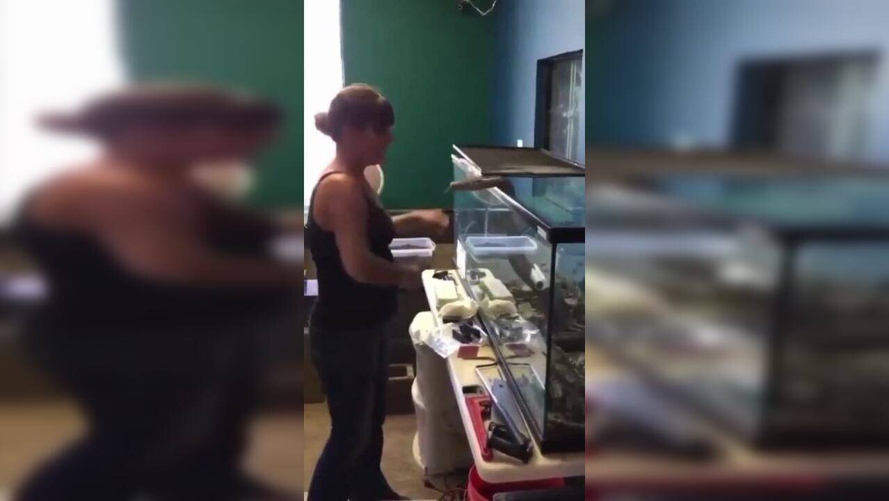 Viral video: Pet snake attacks woman as she opens the cage, netizens in ...